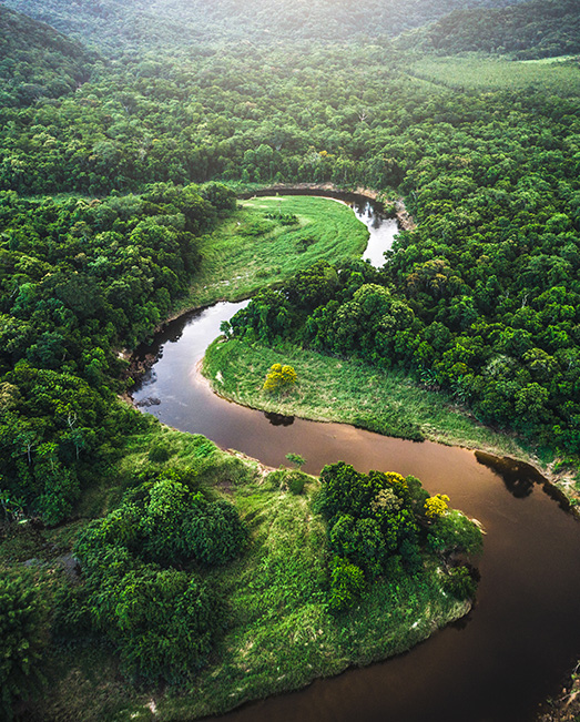 The key to preserving the worlds largest rainforest - Impact ...